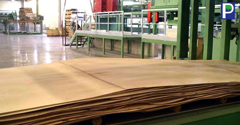 Ply Reporter | Latest News on Plywood & Industry Insights