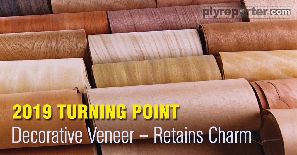 Ply Reporter | Latest News on Plywood & Industry Insights