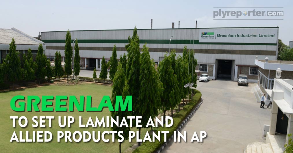 Ply Reporter | Latest News on Plywood & Industry Insights