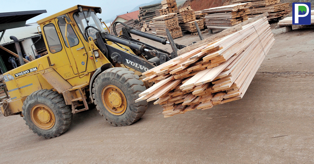 New MOEF Guidelines Changed The License Compulsion For Wood Industries 