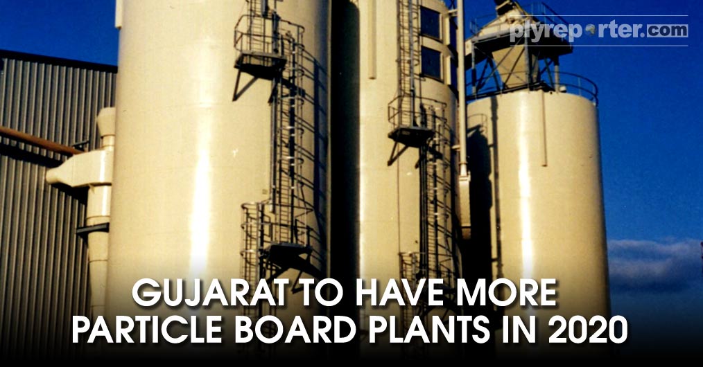 Ply Reporter | Latest News on Plywood & Industry Insights