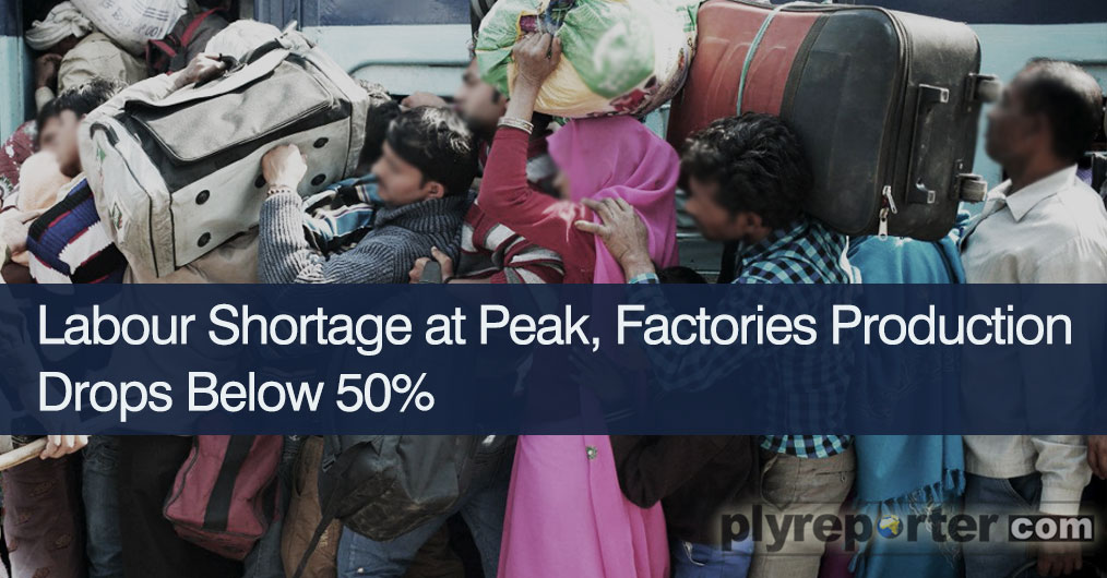 Ply Reporter | Latest News on Plywood & Industry Insights